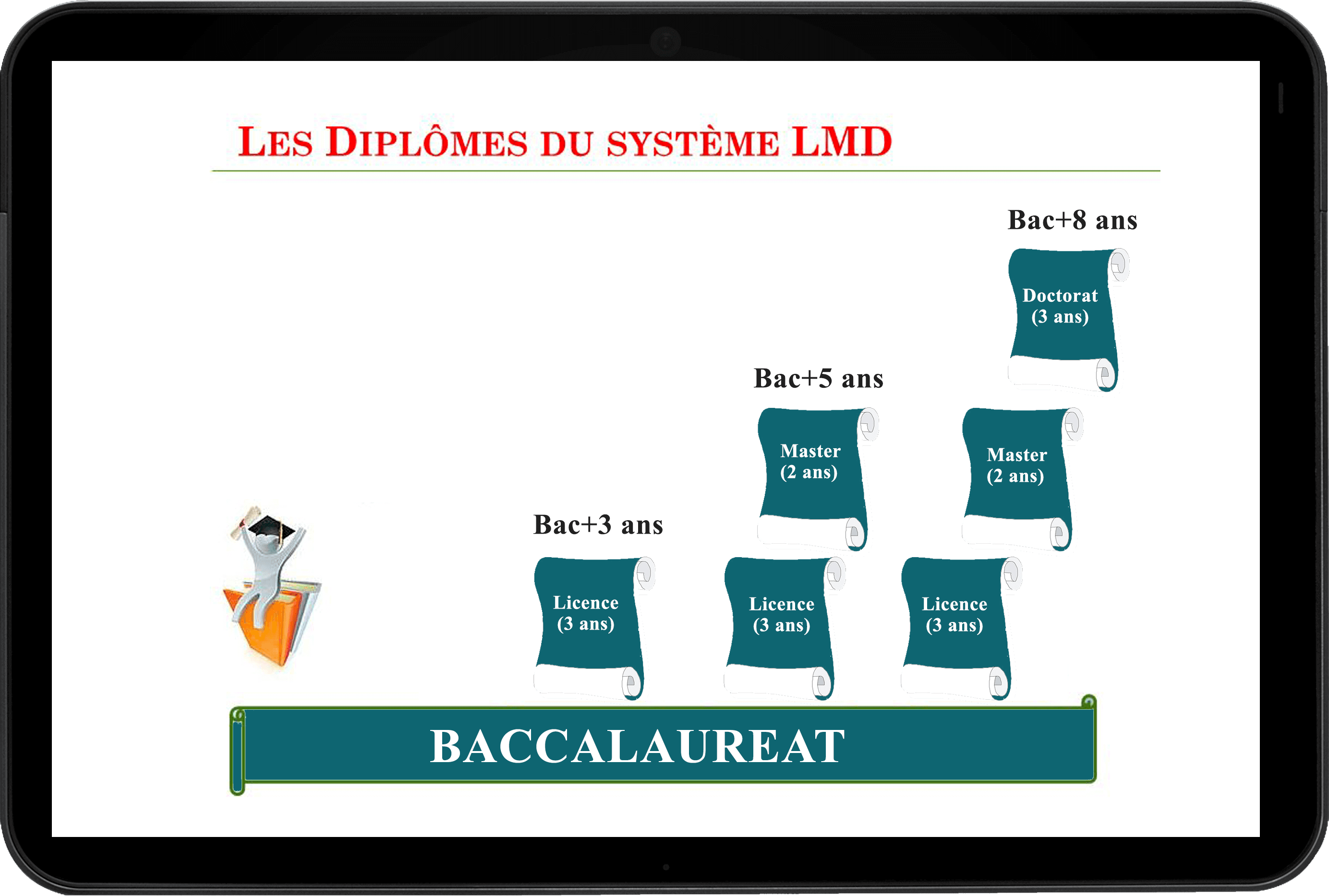 Cursus universitaire: - Tunisian Consulting Center